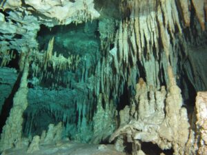 Cenotes | Natural Wonders Of The Yucatan Peninsula